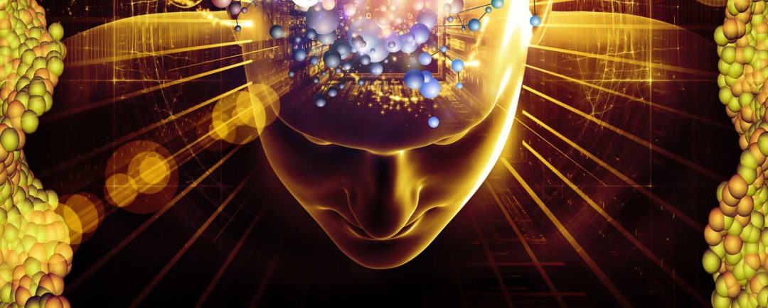 brain-header-1 - Lynne Brodie International